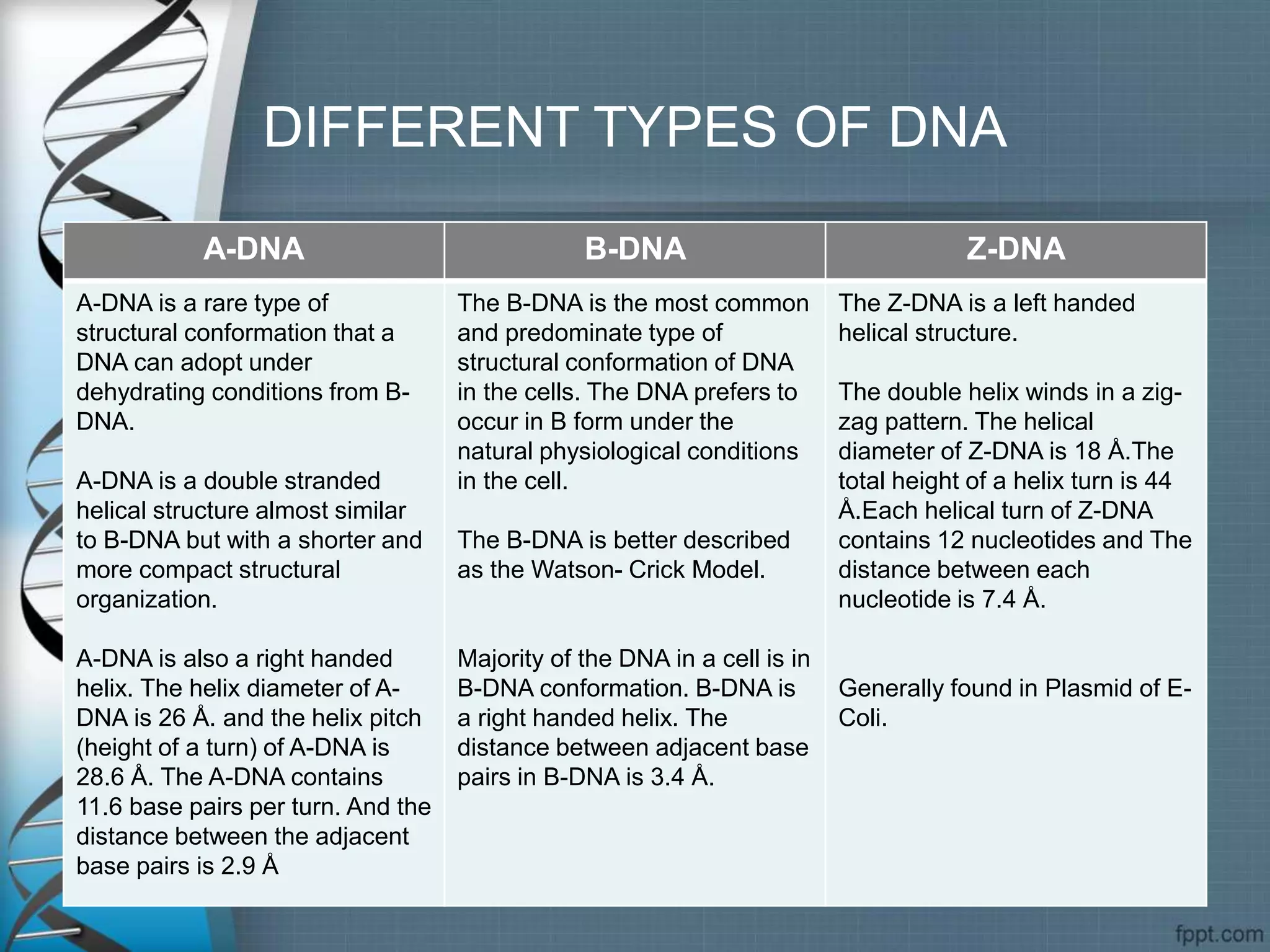 Structure of DNA & Their Types.pptx