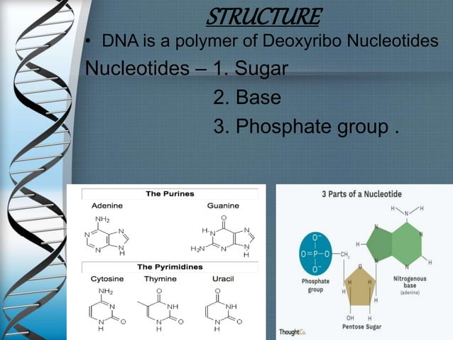Structure of DNA & Their Types.pptx