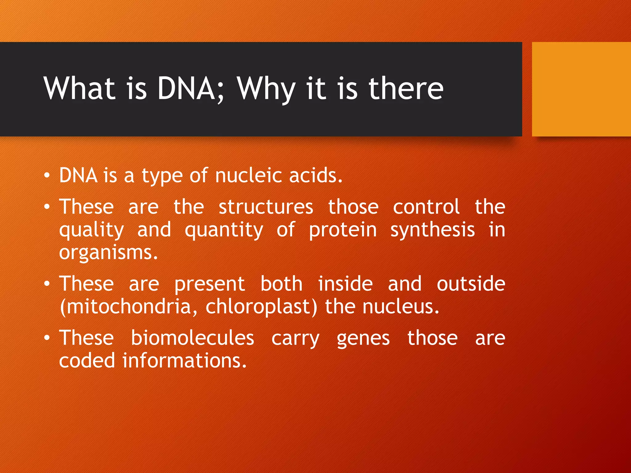 Structure of DNA | PPTX | Chemistry | Science
