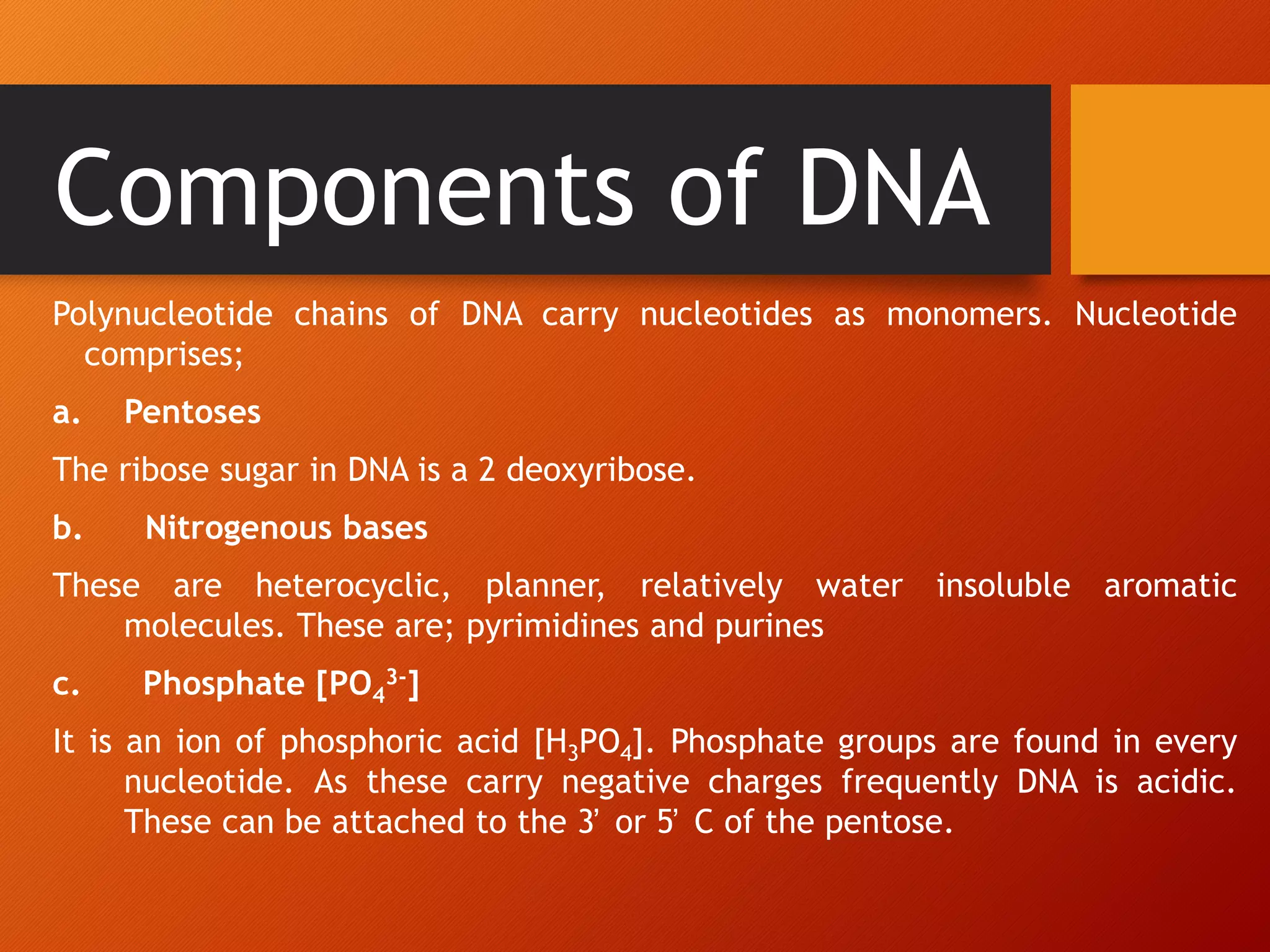 Structure of DNA | PPTX | Chemistry | Science