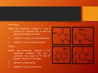 Structure of DNA | PPTX | Chemistry | Science