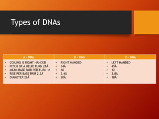Structure of DNA | PPTX | Chemistry | Science