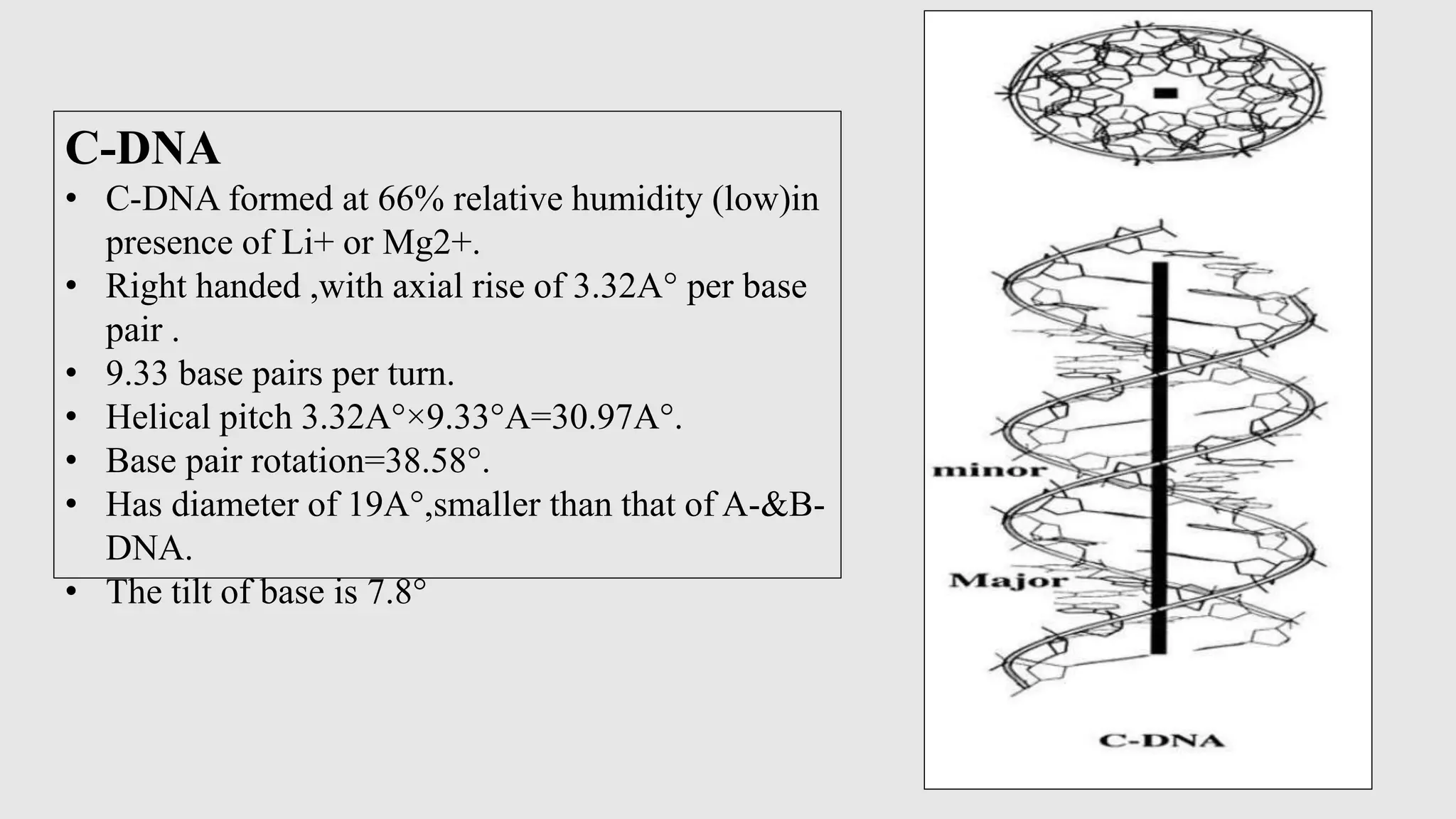 Structure of dna, types of dna forms, turners syndrome | PPTX