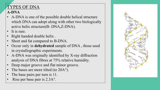 Structure of dna, types of dna forms, turners syndrome | PPTX