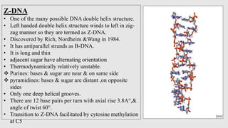 Structure of dna, types of dna forms, turners syndrome | PPTX
