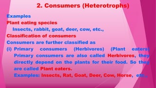 TOPIC: STRUCTURE OF AN ECOSYSTEM- ECOLOGYpdf | PDF