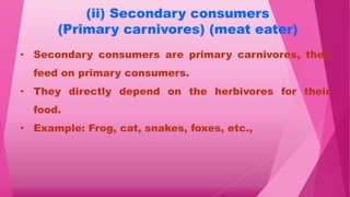 TOPIC: STRUCTURE OF AN ECOSYSTEM- ECOLOGYpdf | PDF