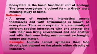 TOPIC: STRUCTURE OF AN ECOSYSTEM- ECOLOGYpdf | PDF
