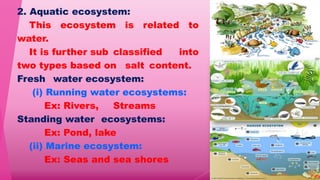 TOPIC: STRUCTURE OF AN ECOSYSTEM- ECOLOGYpdf | PDF