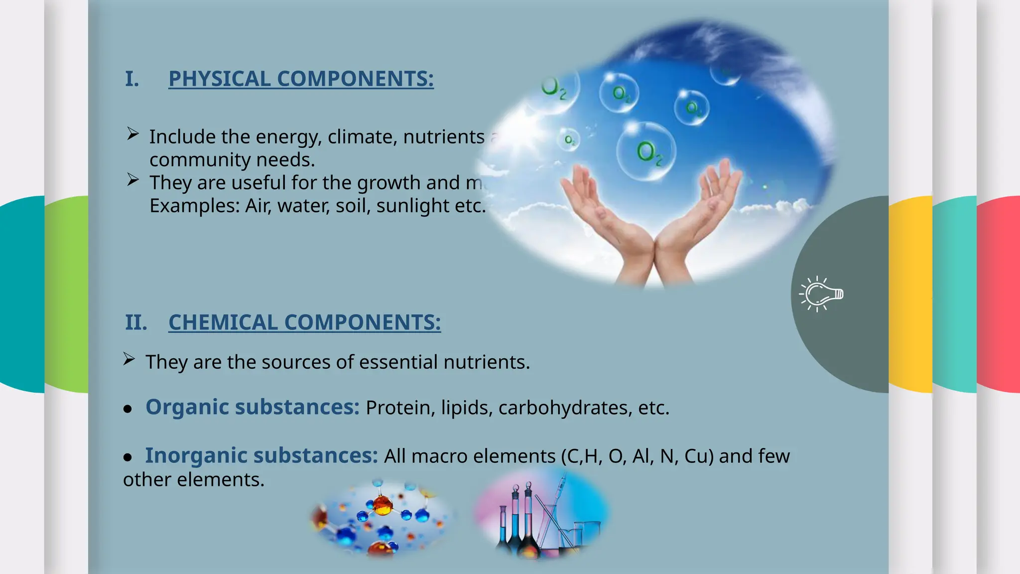 Structure Of Ecosystem Pptx