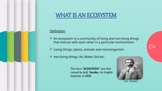 Structure of Ecosystem | PPTX