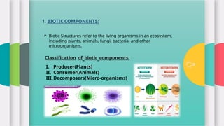 Structure of Ecosystem | PPTX