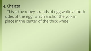 structure of eggs.pptx