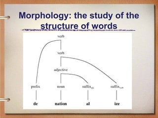 Structure of English (A Definition) | PPT