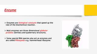 Structure of enzyme | PPTX