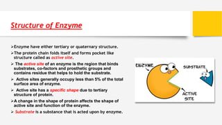 Structure of enzyme | PPTX