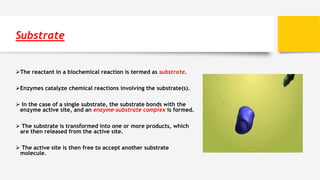 Structure of enzyme | PPTX