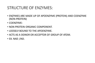 structure of enzyme.PDF