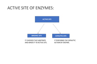 structure of enzyme.PDF