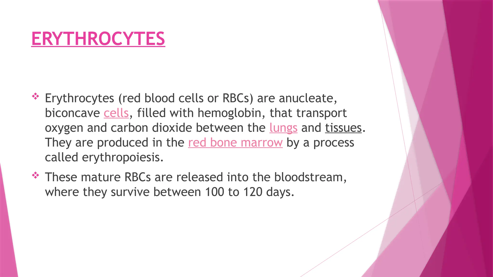 STRUCTURE OF ERYTHROCYTES.pptx By Dr.Farhan Abid Rana | PPTX