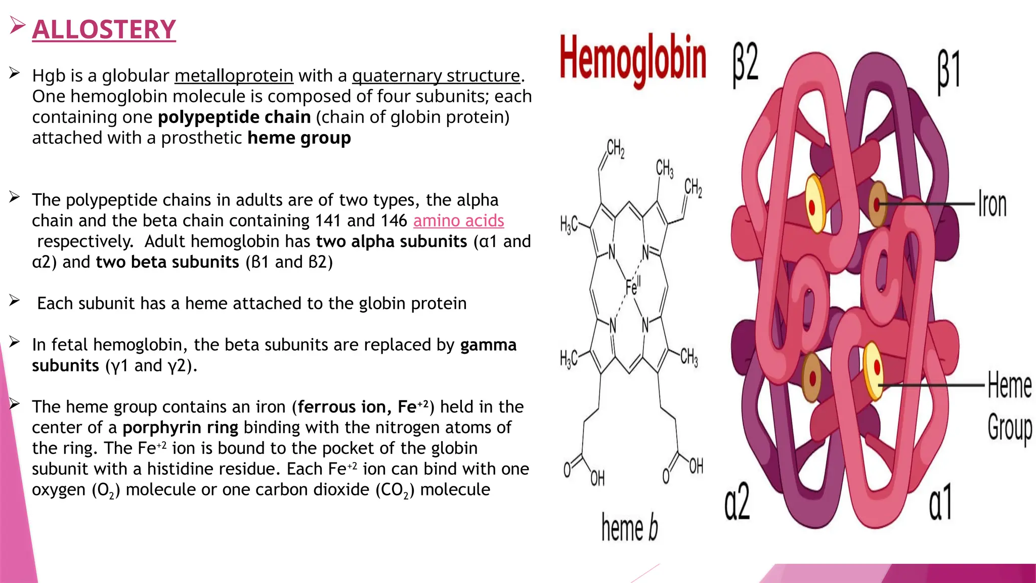 STRUCTURE OF ERYTHROCYTES.pptx By Dr.Farhan Abid Rana | PPTX