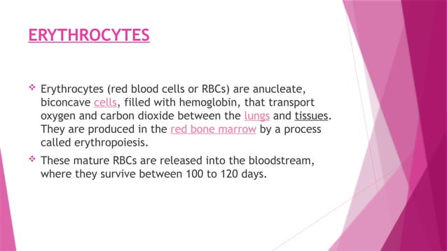 STRUCTURE OF ERYTHROCYTES.pptx By Dr.Farhan Abid Rana | PPT
