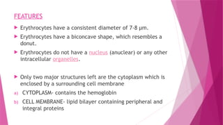 STRUCTURE OF ERYTHROCYTES.pptx By Dr.Farhan Abid Rana | PPTX