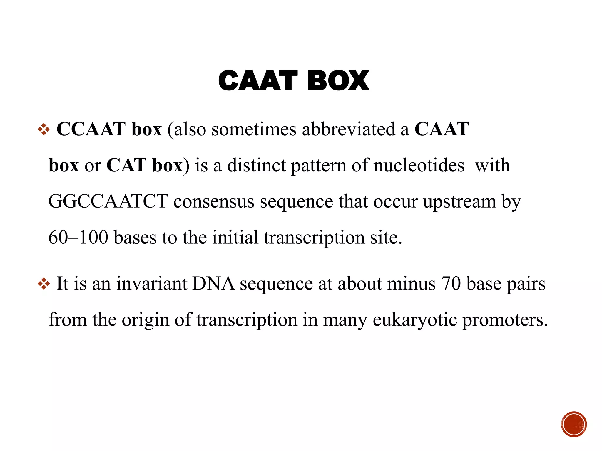 Structure of Eukaryotic Promoter .pptx
