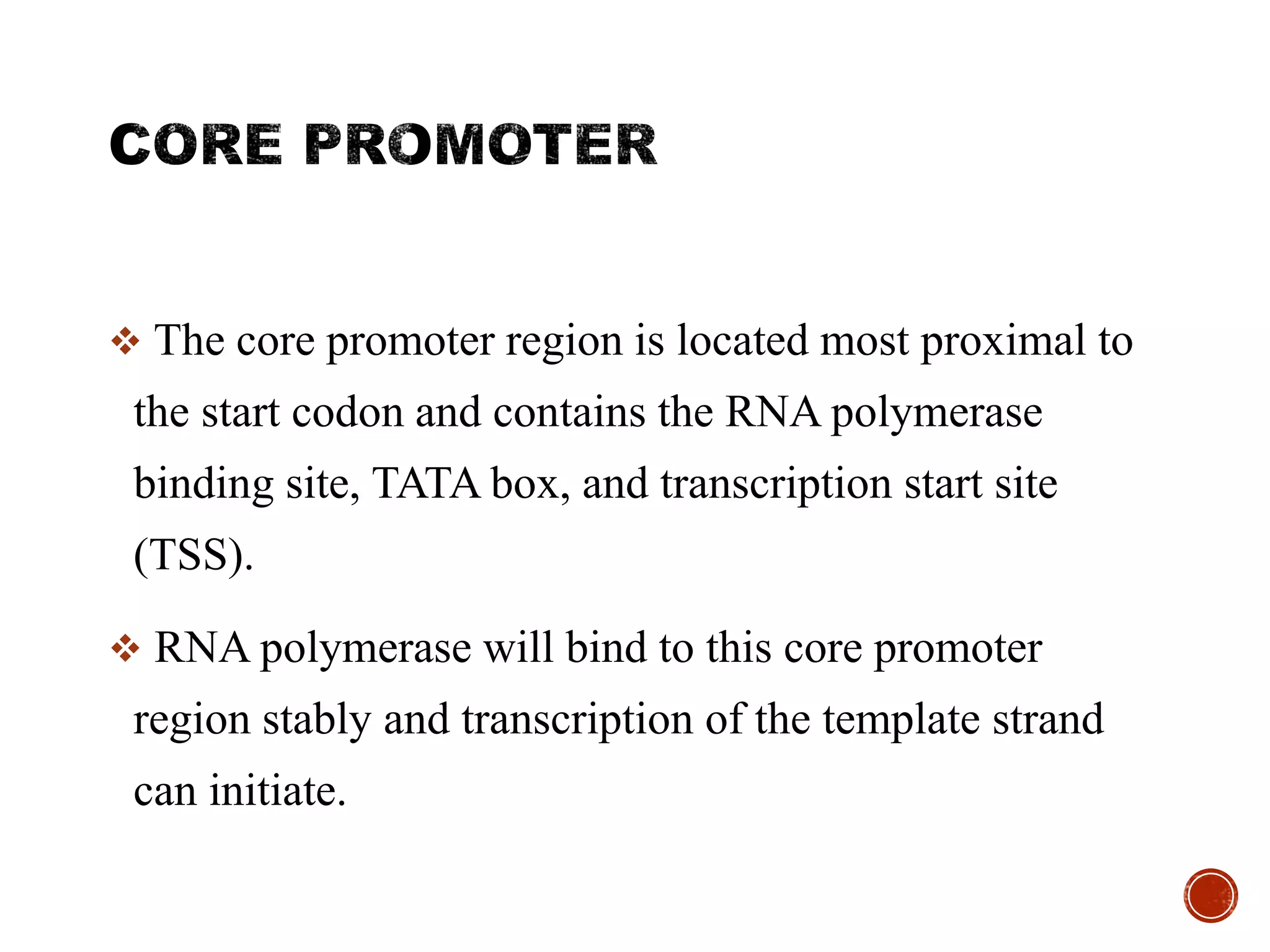 Structure of Eukaryotic Promoter .pptx