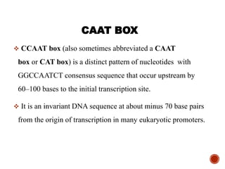 Structure of Eukaryotic Promoter .pptx
