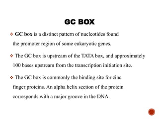 Structure of Eukaryotic Promoter .pptx