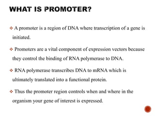 Promoter Definition Biology
