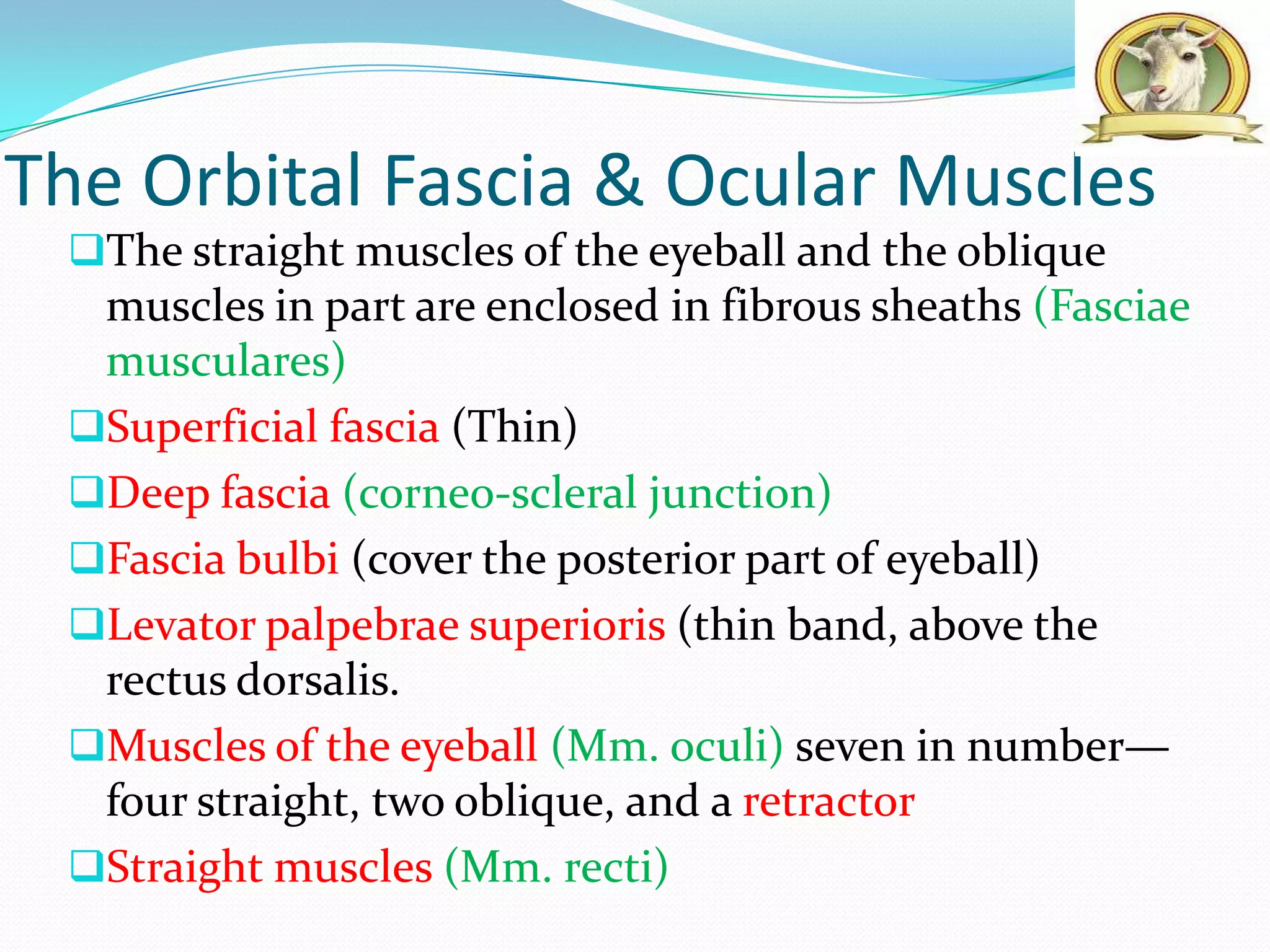 Structure of eye | PPTX