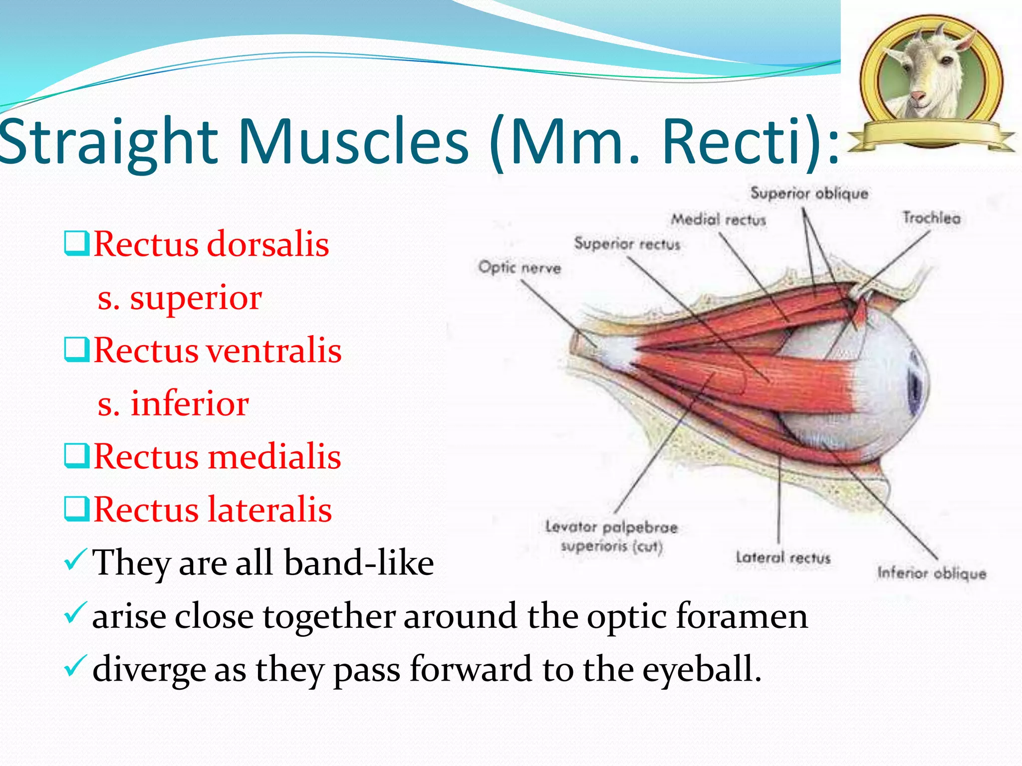 Structure of eye | PPTX