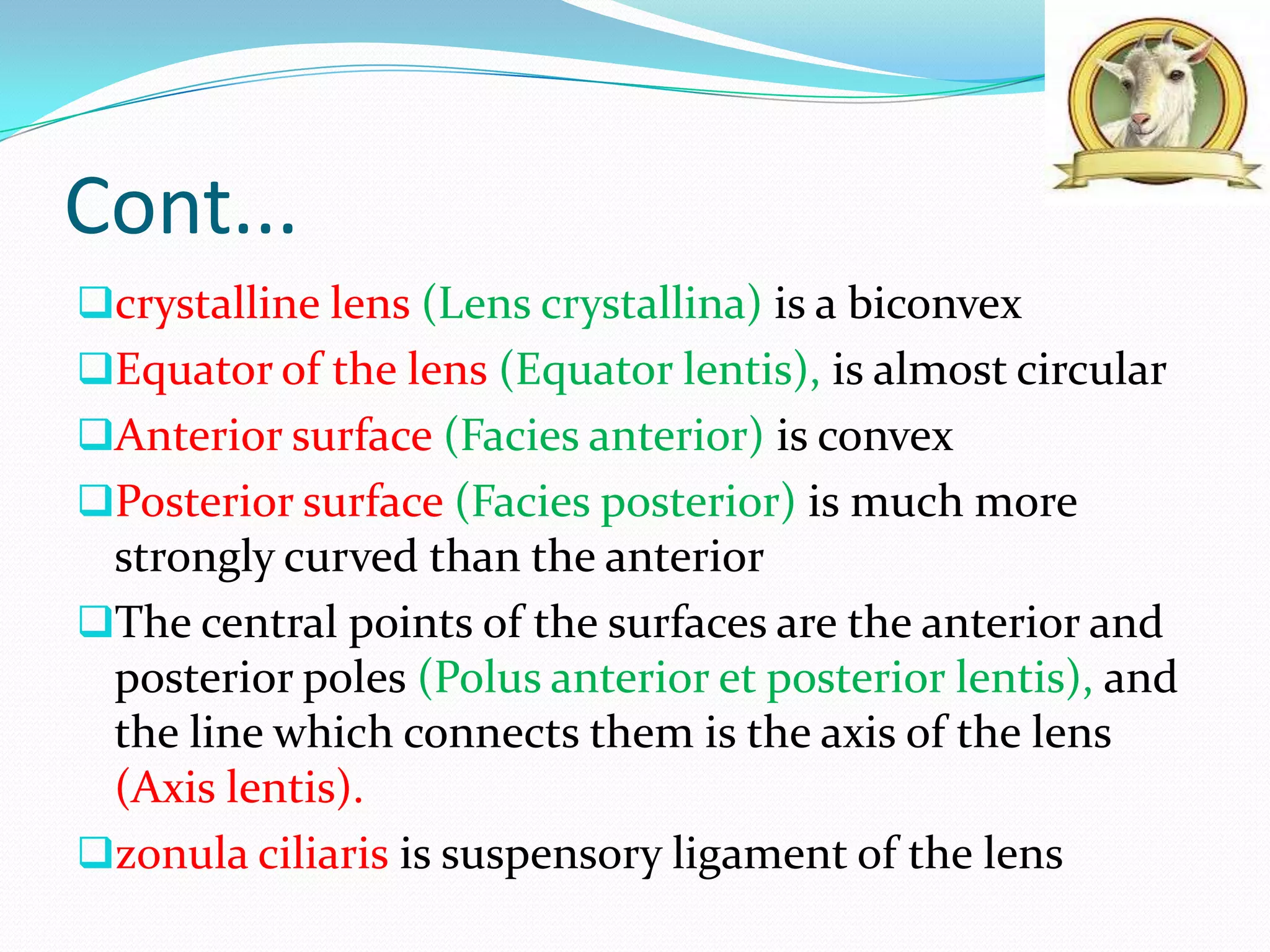 Structure of eye | PPTX