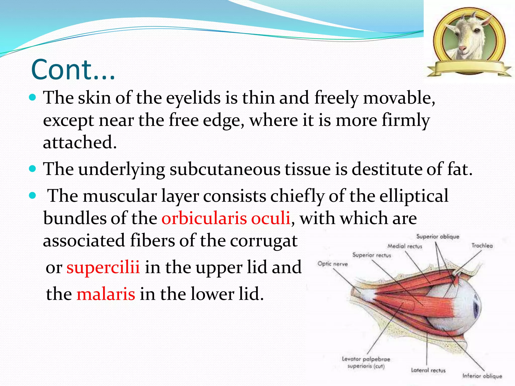 Structure of eye | PPTX