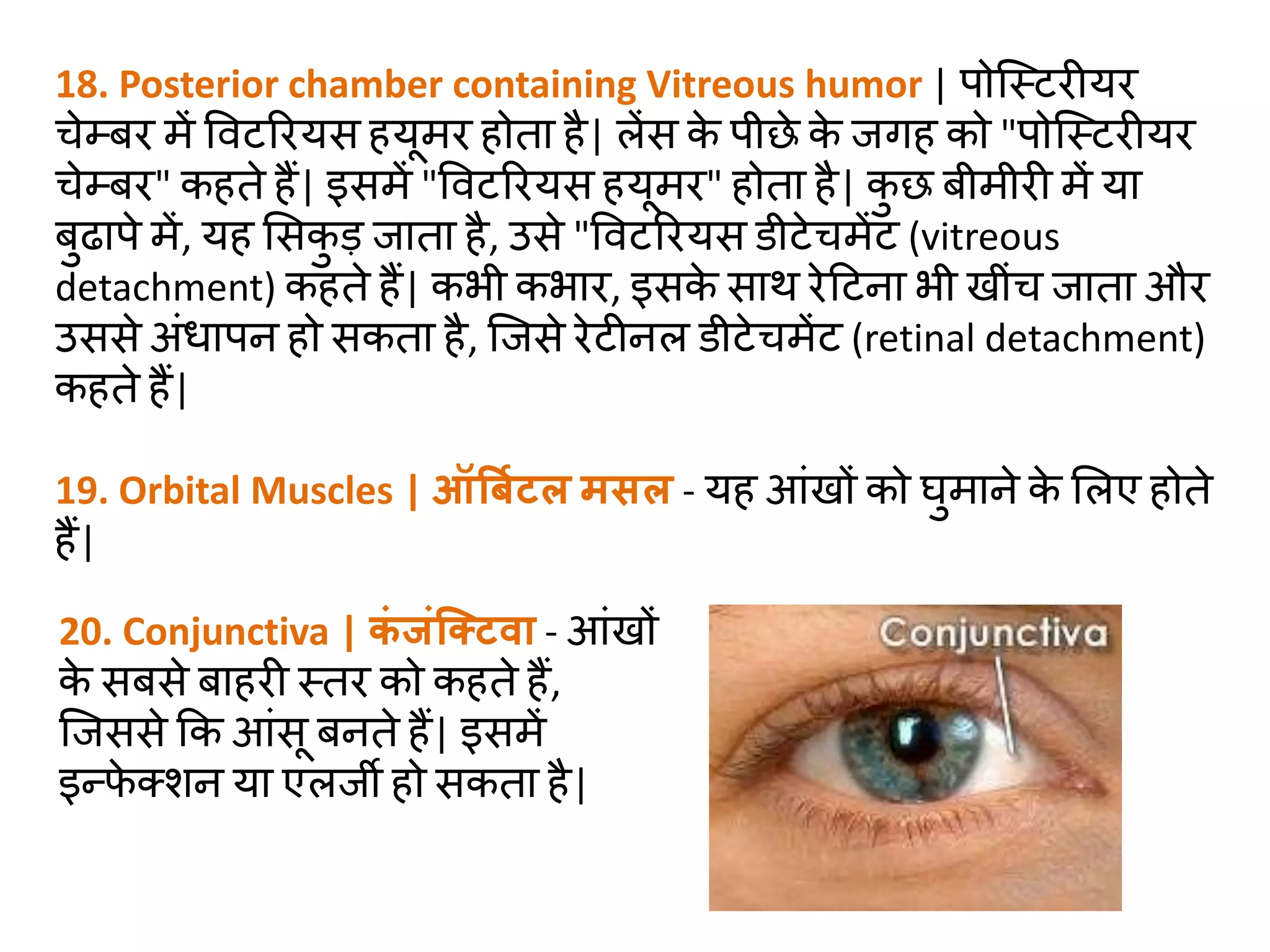 learn about Structure of human eye in hindi | PPTX