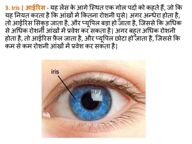 learn about Structure of human eye in hindi | PPTX