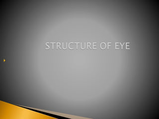 Structure of eye | PPTX