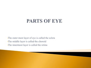 Structure of eye | PPTX