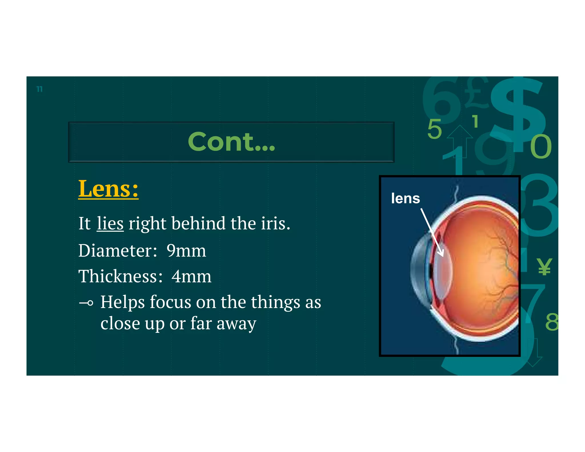 Structure of Eye and parts | PDF