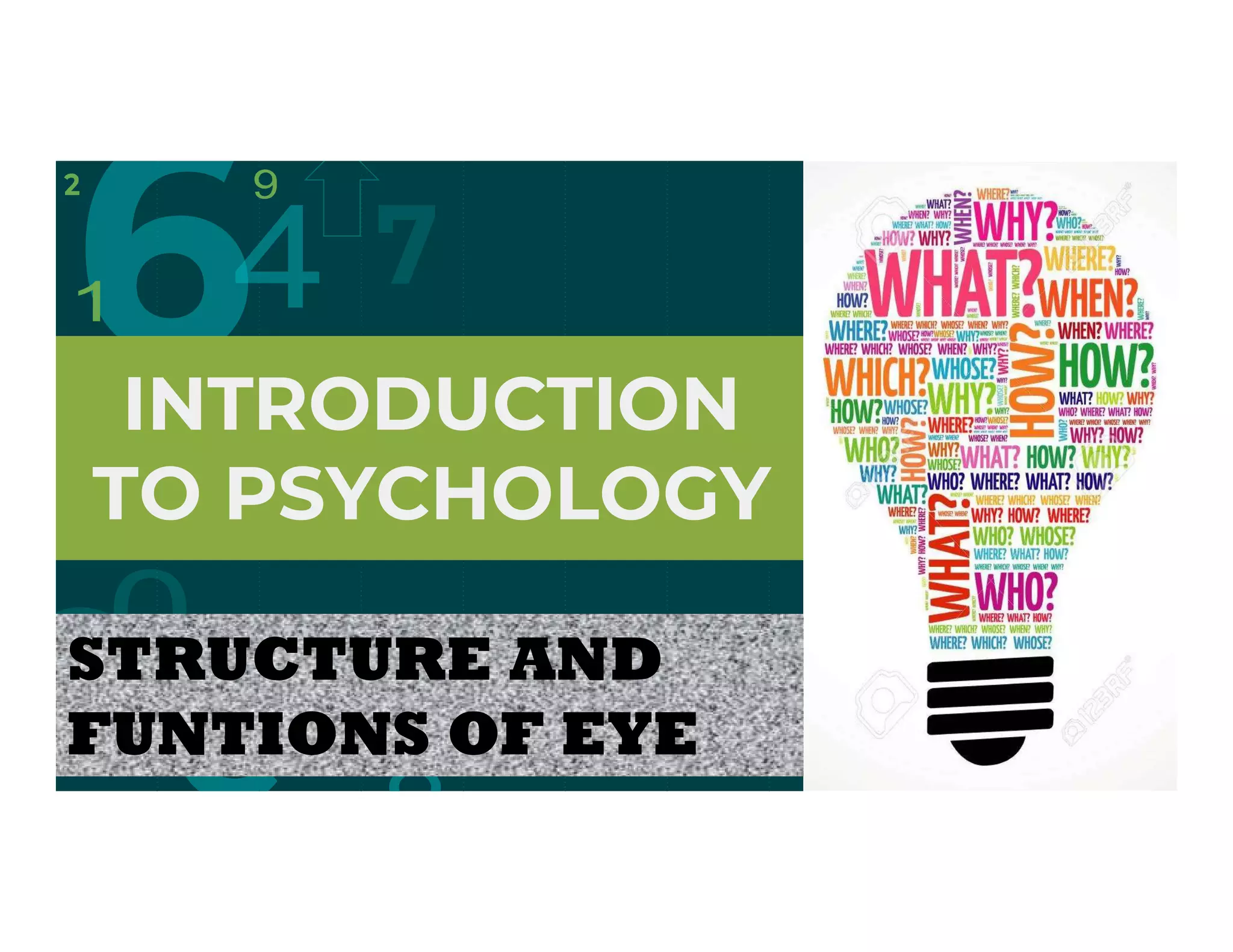 Structure of Eye and parts | PDF