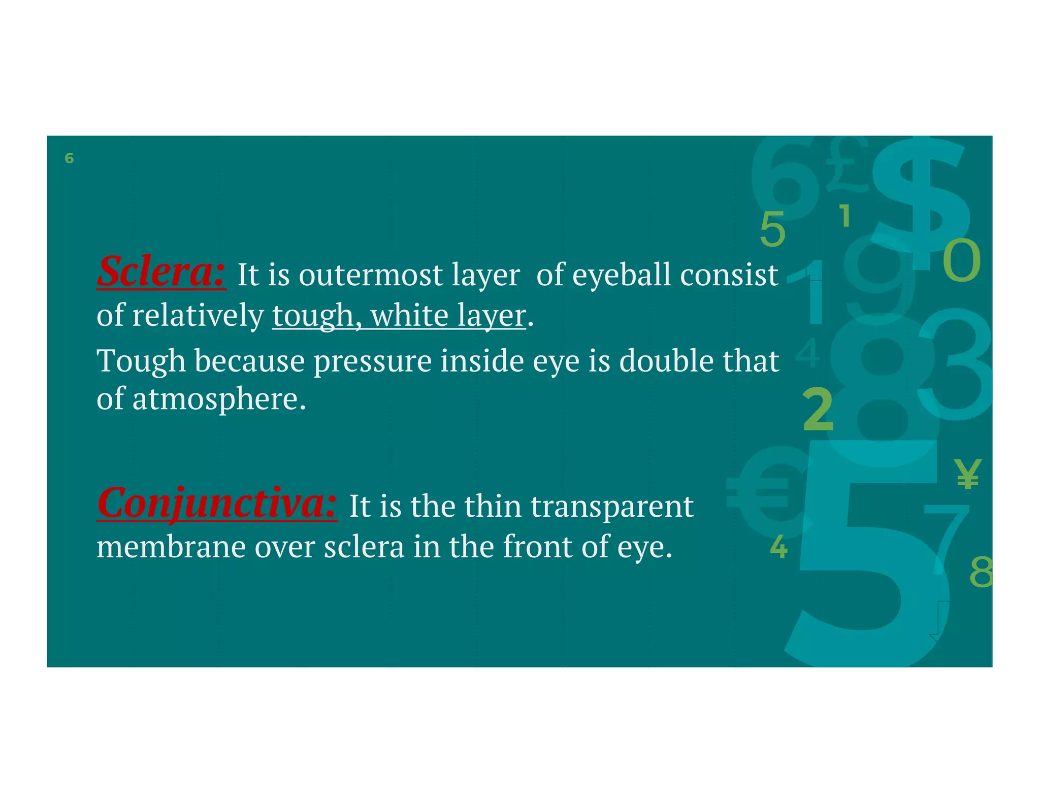 Structure of Eye and parts | PDF