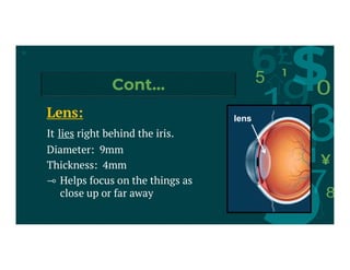 Structure of Eye and parts | PDF