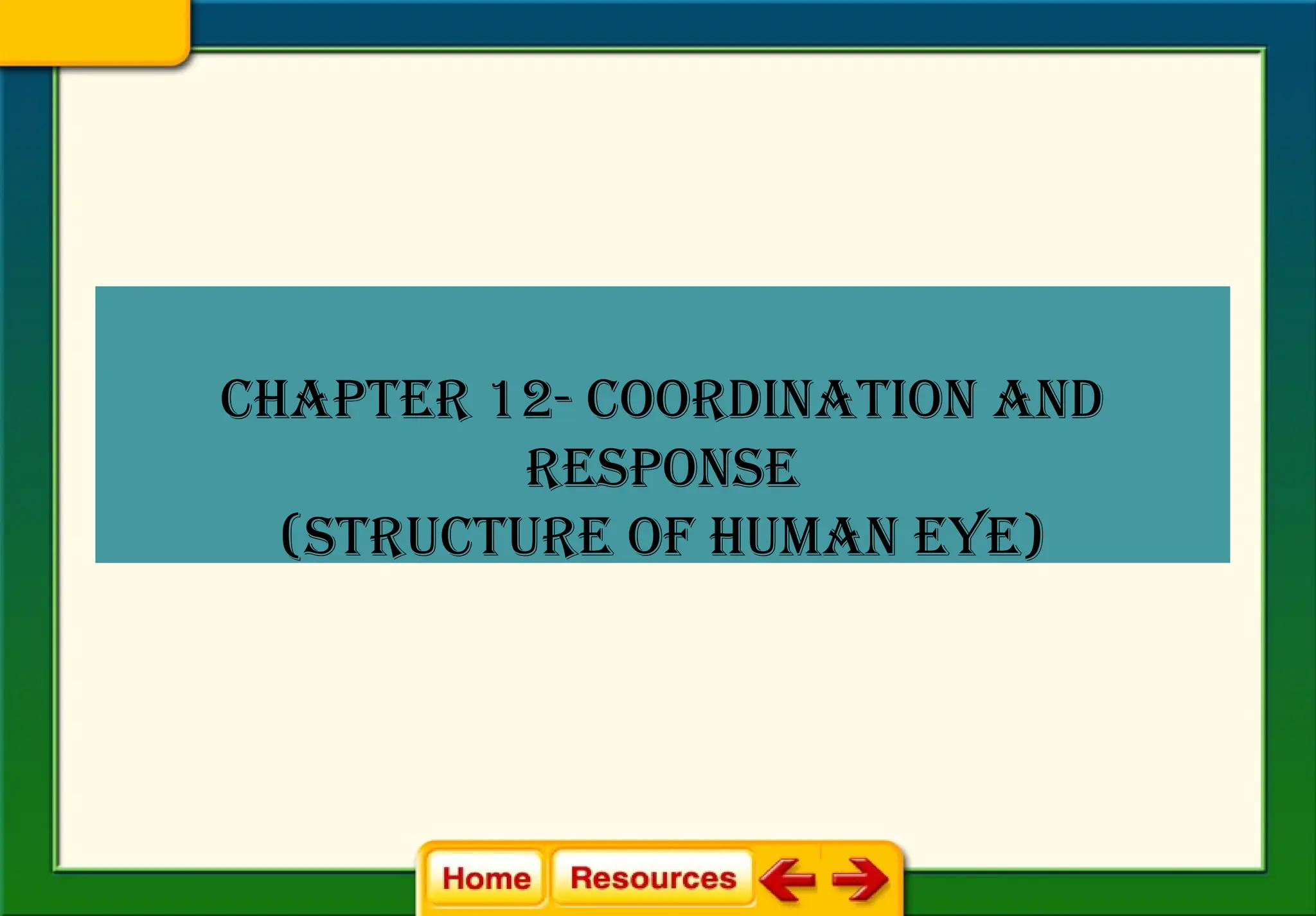 Coordination and Response- Structure of Eye .ppt