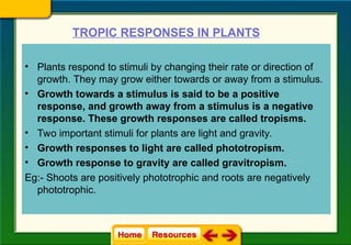 Coordination and Response- Structure of Eye .ppt