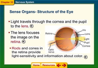 Coordination and Response- Structure of Eye .ppt
