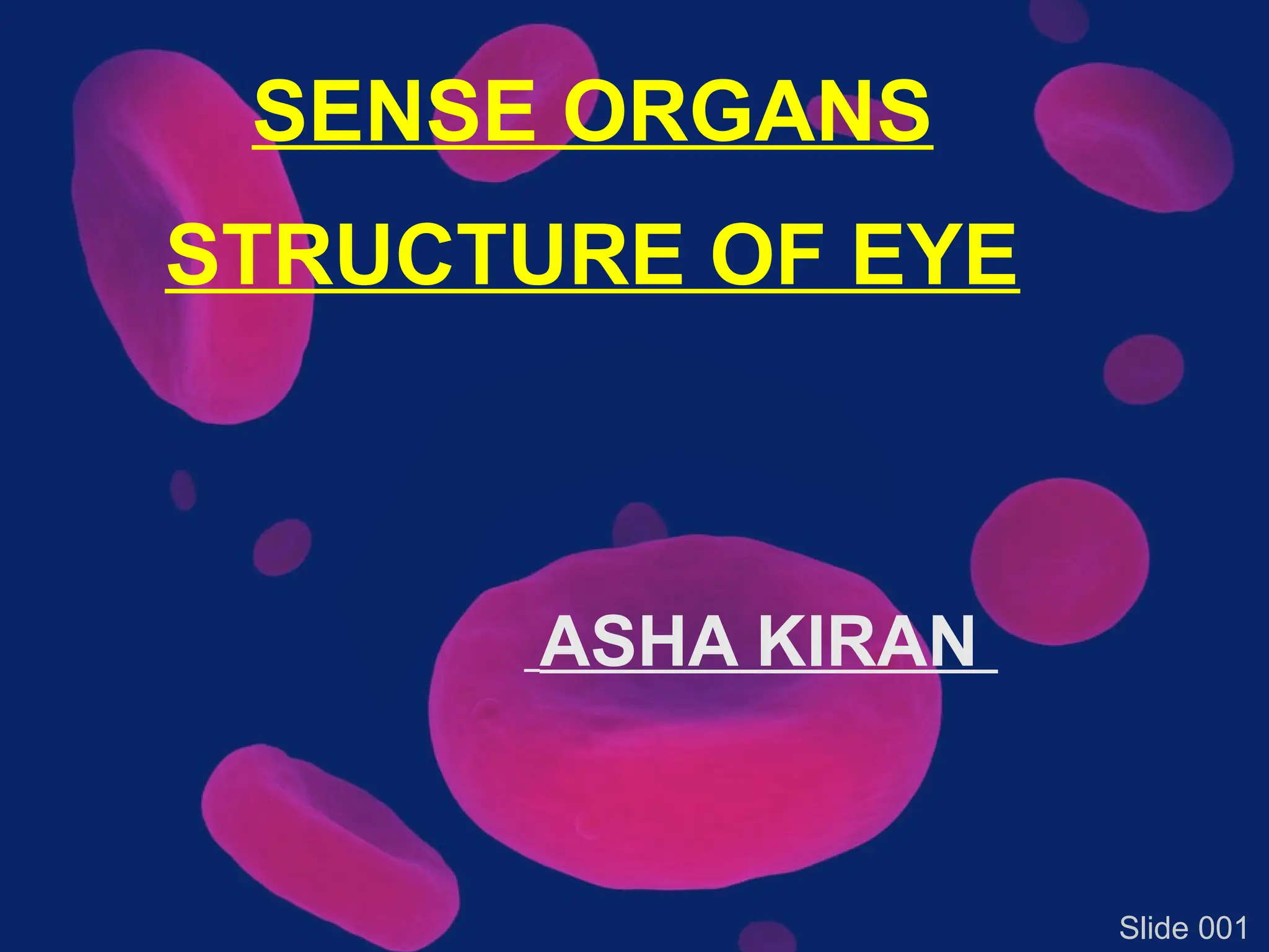 Structure of Eye - Anatomy of Eye PPT presentation | PPTX
