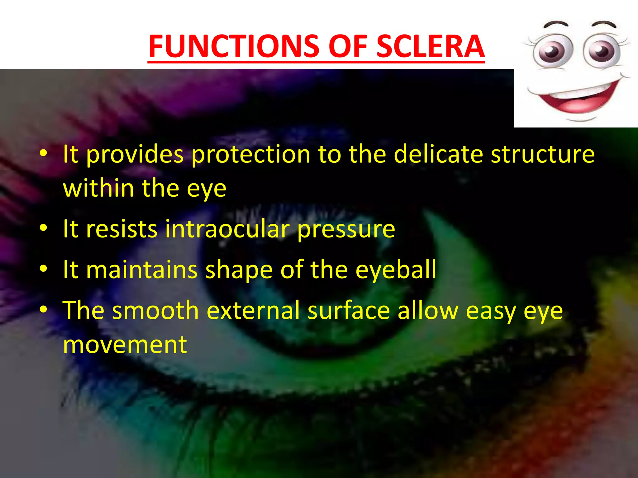 Anatomy of eye ppt | PPTX