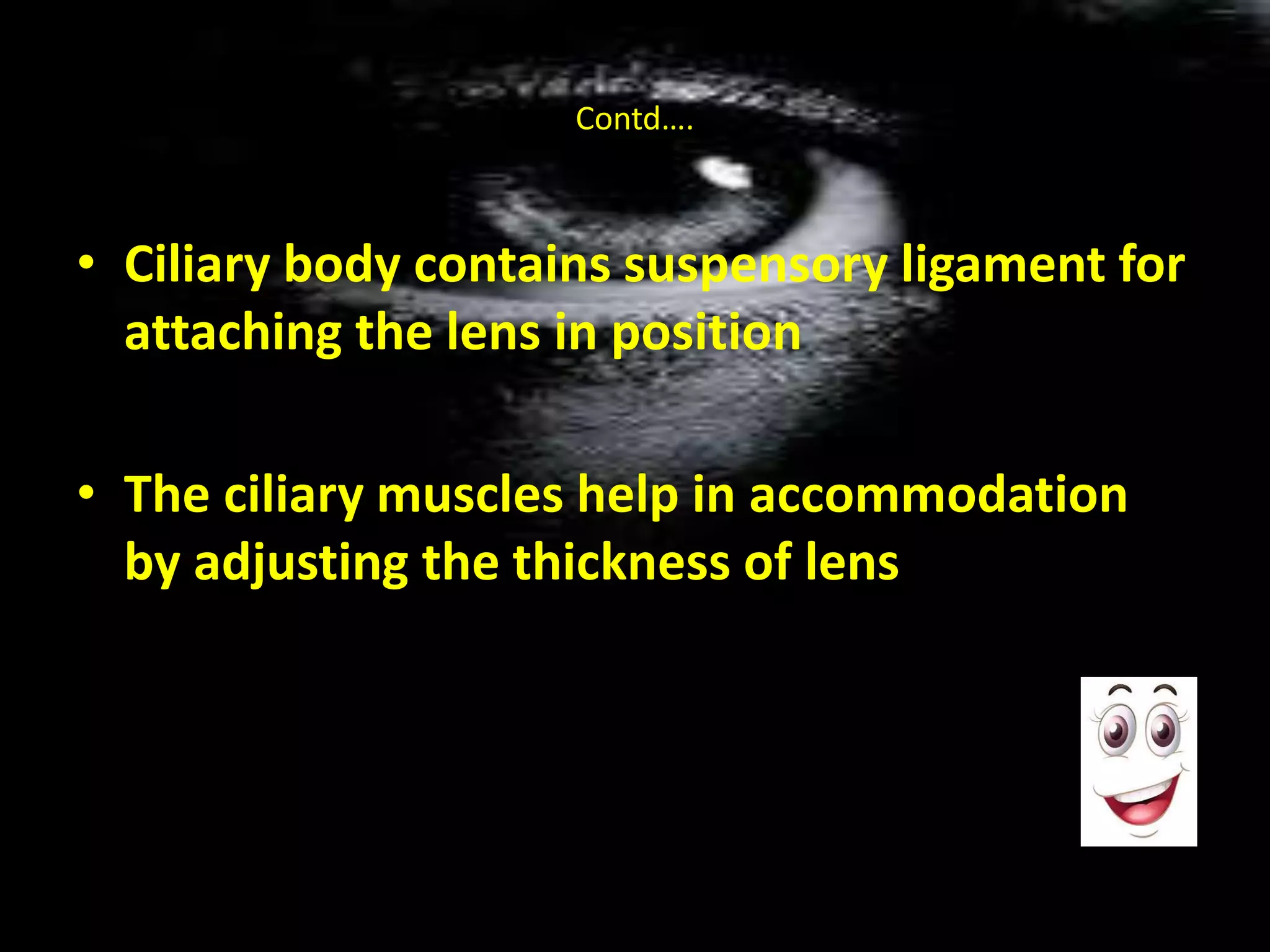 Anatomy of eye ppt | PPTX